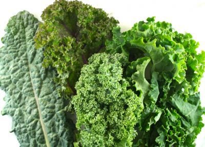 What is Kale? The Taste, Color, Texture, and Why You Should Try it ...