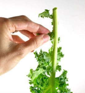 Ultimate Kale Guide | The Tasty Tip